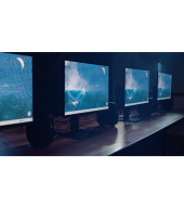 Material configurable de HP Elite t660 Thin Cient - Especificaciones y ...